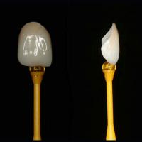 China E.max All Ceramic Dental High Translucency China Dental Lab for sale