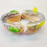 China Dental Orthodontic Appliance Lab Denture Shark Anti Snoring Guard for Children Adults for sale