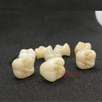 China Custom Dental Lab Biocompatible Zirconia Restorations FDA CE Approved for sale