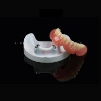 China China Lab Permanent Restoration Complete Composite Acrylic Dentures Tooth CE FDA for sale