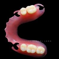 China Customized Flexible Valplast Denture from China Dental Lab for sale