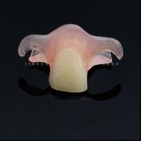 China Valplast Flexible Denture Invisible Base Similar Natural Gum Color Persistent Color Change for sale