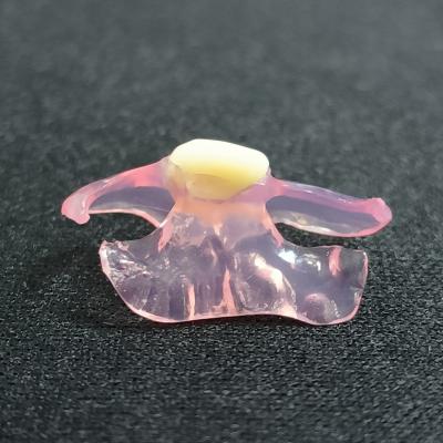 China Personalized Customized Valplast Flexible Denture Durable Natural Looking for sale