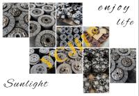 China Universal Compatibility Steel Disc Clutch Designed for Heavy Duty Featuring Strong Steel Construction and Power Transfer for sale