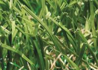China Residential Artificial Grass, MT-Wisdom / MT-Superior for sale