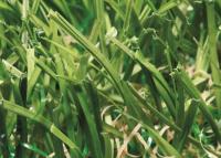 China Commercial Artificial Grass, MT-Superior / MT-Wisdom for sale