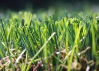 China Residential Artificial Grass, MT-Charming  MT- Harmony for sale