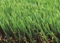 China Artificial Grass for Pets, MT-Charming for sale
