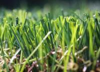 China Commercial Artificial Grass, MT-Charming / MT- Harmony for sale