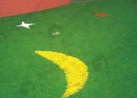China Coloured Artificial Grass for sale