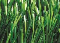 China Commercial Artificial Grass, MT-Graceful / MT-Gorgeous for sale