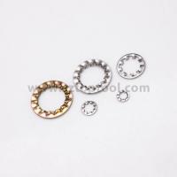 China Zinc Plated Internal Serrated Washer Din6797J Washer With Teeth Inside for sale