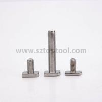 China 304 316 Stainless Steel T Bolt M6 Hex Bolts For PV Box Fasteners for sale