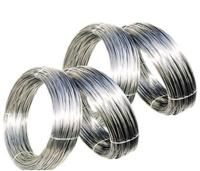 China 301 302 303 304 Stainless Steel Spring Wire , Custom Dimension Straight Spring Steel Wire for sale