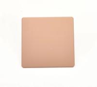 China AISI 304 Sandblasted Rose Gold Stainless Steel Sheet 1.2mm Thick Decorative Plate for sale