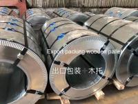 China Peru Hot Dipped Galvanized Steel Coils Plate Prepainted 0.12mm for sale