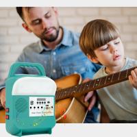 China Mini Radio Solar Home Lighting System With Torch Home Kit Power Bank for sale
