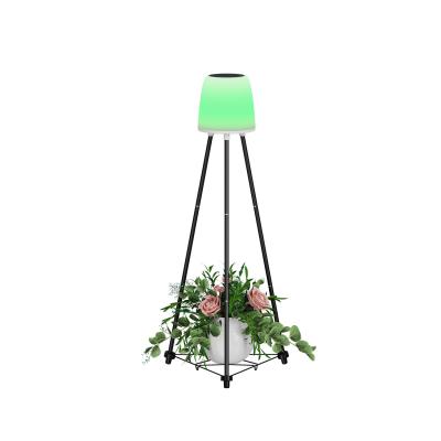 China 0.2W Solar Christmas Decorative Lights 0.3kg Inner Box Size 22*20*40.5CM G.W 1.9KG for sale