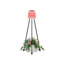 China 1.2V 40PCS Solar Powered Decorative Garden Light 2835 LED 45.7*20.3*107.3cm for sale