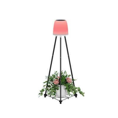 China 1.2V 40PCS Solar Powered Decorative Garden Light 2835 LED 45.7*20.3*107.3cm for sale