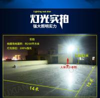 China 8000H 24V 100W Solar Flood Light Aluminum Solar Security Lamp for sale