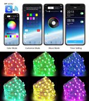 China IP65 USB 6lm Solar Decorative Lights Solar Powered String Garden Lights for sale