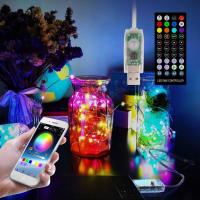 China Holiday Festival Solar Decorative Lights Christmas Mini Solar Lights For Fairy Garden for sale