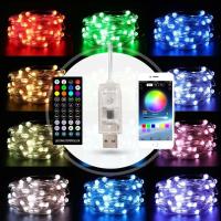 China Holiday Festival Solar Decorative Lights Christmas Mini Solar Lights For Fairy Garden for sale