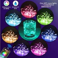 China Halloween Wedding Party Solar Decorative Lights APP Control for sale