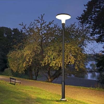 China Solar Garden Lights LED Waterproof Solar Garden Lamp for sale