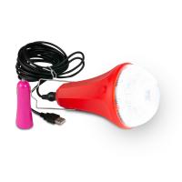 China 5200mAh 300lum Off Grid Solar Lighting System For Garden for sale