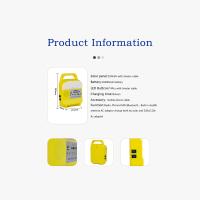 China Home Mobile Charging LED Solar Lamp Kit 25W Solar Panel System for sale