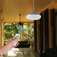 China Solar Garden Solar Lights IP65 Waterproof Solar Garden Pathway Outdoor LED Garden Lights for sale