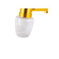 China 6W Integrated Apple Solar LED Street Lights Path Automatic Solar Garden Lights for sale