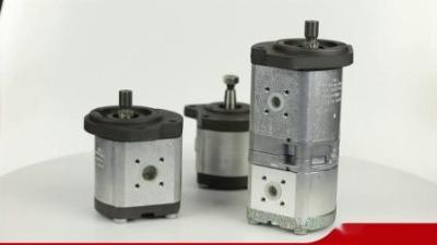 China 0510625071 AZPF-11-016RRR20KB-S0081 Hydraulic Gear Pump for Rexroth - Carbon Steel Construction, 500 Pieces Monthly Capacity for sale