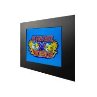 China 22 Inch Infrared Touch Monitor With VGA/CGA Signal Input For Gaming And Interactive for sale
