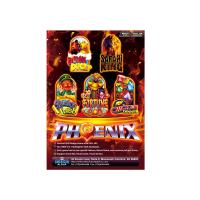 China IGS Phoenix 5in1 Vertical Skill Game PCB Board English\Chinese 1 Year Warranty for sale