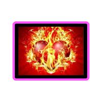 China 19 Inch Capacitive LED Touchscreen Monitor For Gaming ASR POG Texas Keno for sale