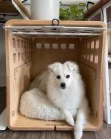 China Modern Push Up Solid Wood Dog Crate End Table With Acrylic Door for sale