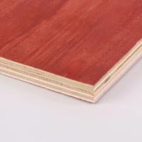 China Commercial 18mm Structural Plywood Sheets Eucalyptus Pine Plywood Sheets for sale