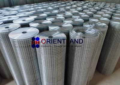 China Heavy Duty 36inch X100ft Galvanized Welded Wire Mesh 1/2 Inch Opening for sale