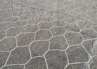 China Coating Gabion  Erosion Control Hexagonal Netting 60x80mm for sale