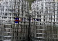 China Anti Corrosion 14 Gauge Wire Mesh 1/4