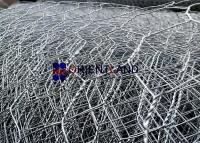 China 20G Fox Proof Chicken Wire Netting 36 Inches 150 Feet Consistant Appearance for sale