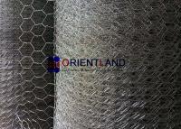 China High Intensity Heavy Gauge Chicken Wire Netting Animals Plants Fencing ISO Approval for sale