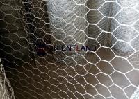 China High Intensity Heavy Gauge Chicken Wire Netting Animals Plants Fencing ISO Approval for sale