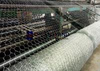China Garden Chicken Wire Netting Fencing Rabbits Net Protect 0.2m-3m Width for sale