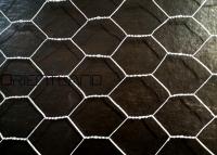 China Hot Dipped Galvanized Hexagonal Wire Mesh , Chicken Mesh Net 1/2