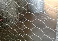 China Hot Dipped Galvanized Hexagonal Wire Mesh , Chicken Mesh Net 1/2