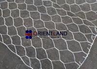 China Erosion Control 100×120mm Gabion Basket Retaining Wall for sale